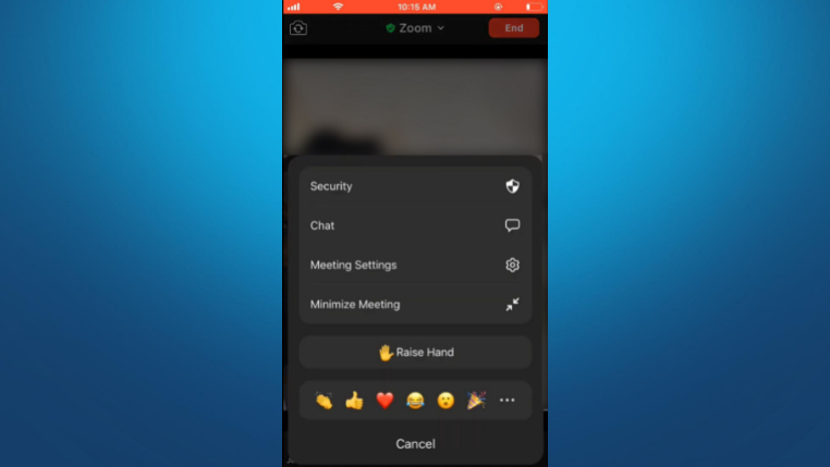 How to Raise Hand in Zoom on Computers & Phones - AddictiveTips 2022