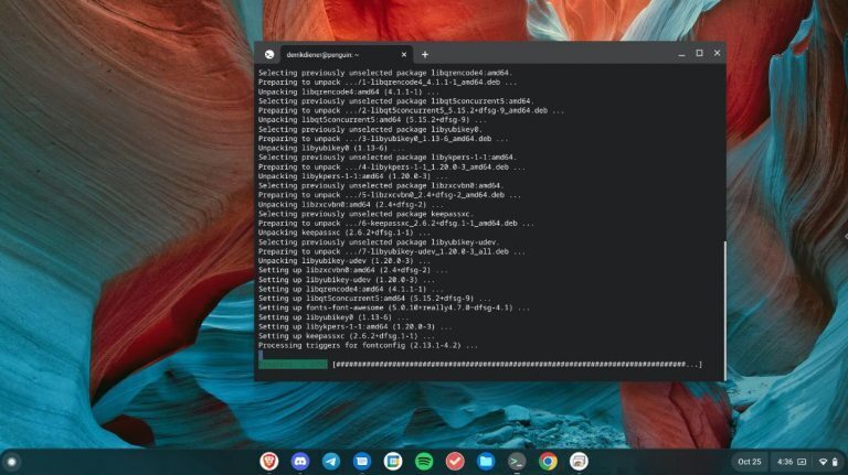 How to use KeePassXC on a Chromebook - Addictive Tips Guide