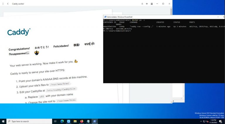 Run the Caddy web server on Windows Server - Addictive Tips Guide