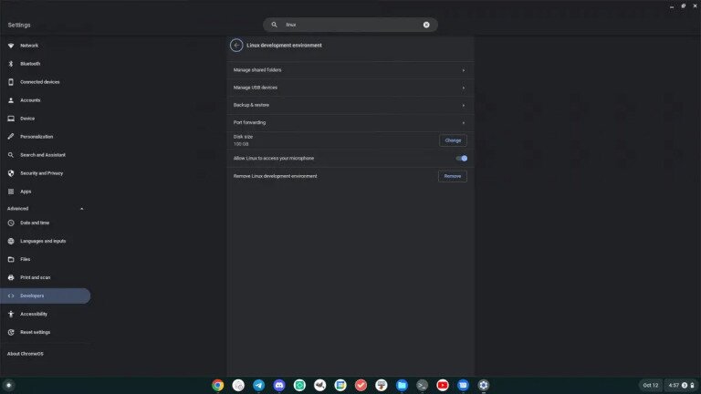 How to install Invoice Ninja on Chrome OS - Addictive Tips Guide