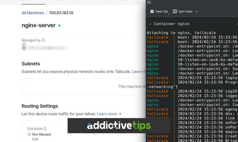 Use Tailscale in Docker containers on Linux - Addictive Tips Guide