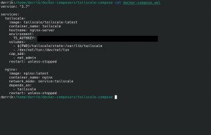 Use Tailscale in Docker containers on Linux - Addictive Tips Guide