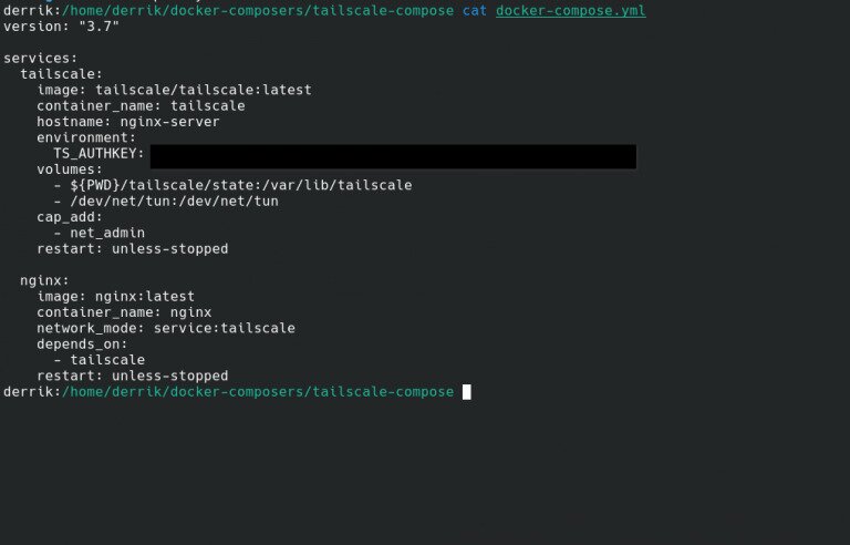 Use Tailscale In Docker Containers On Linux Addictive Tips Guide
